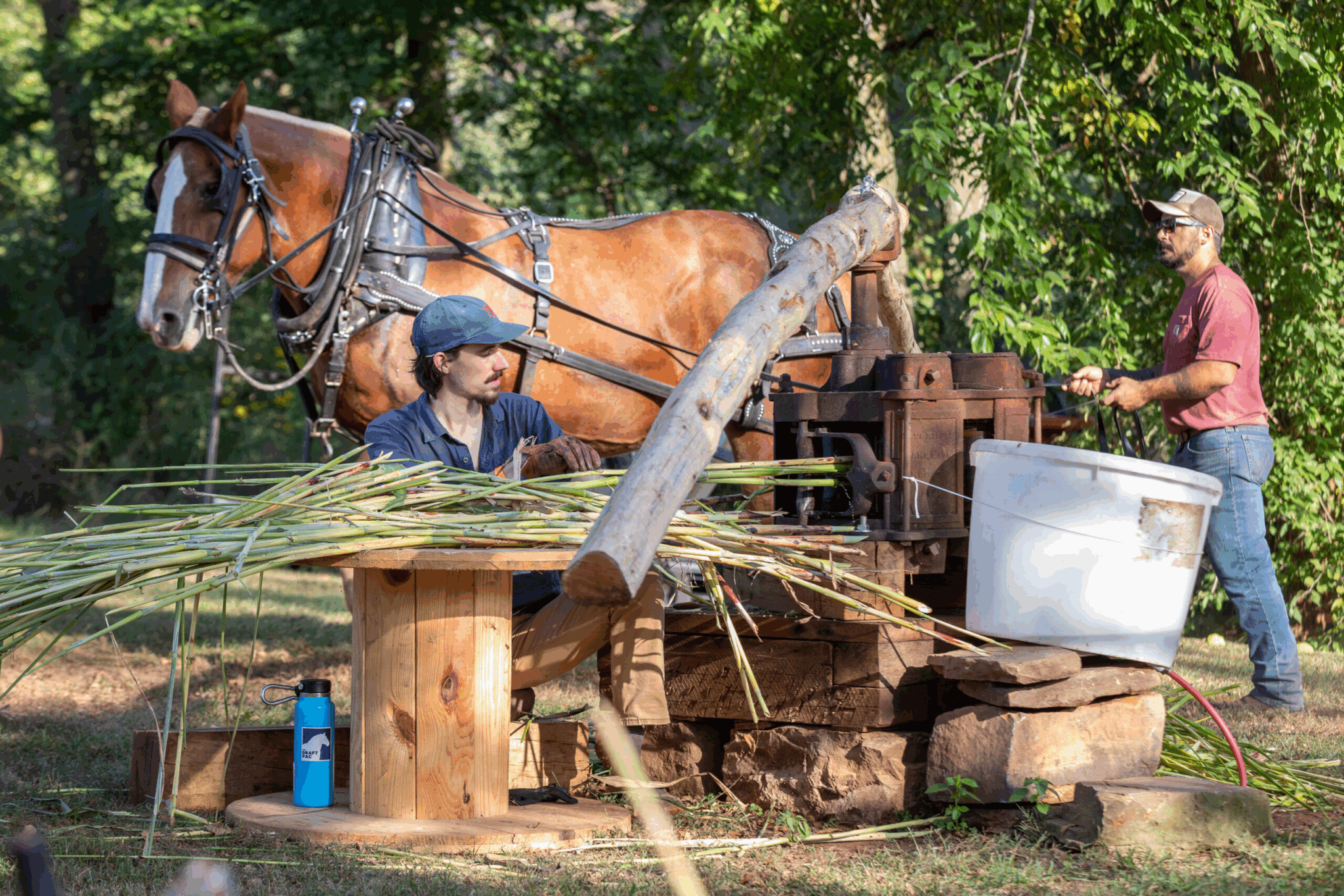 Cane Hill Harvest Festival: Where History Meets Small-Town Fun