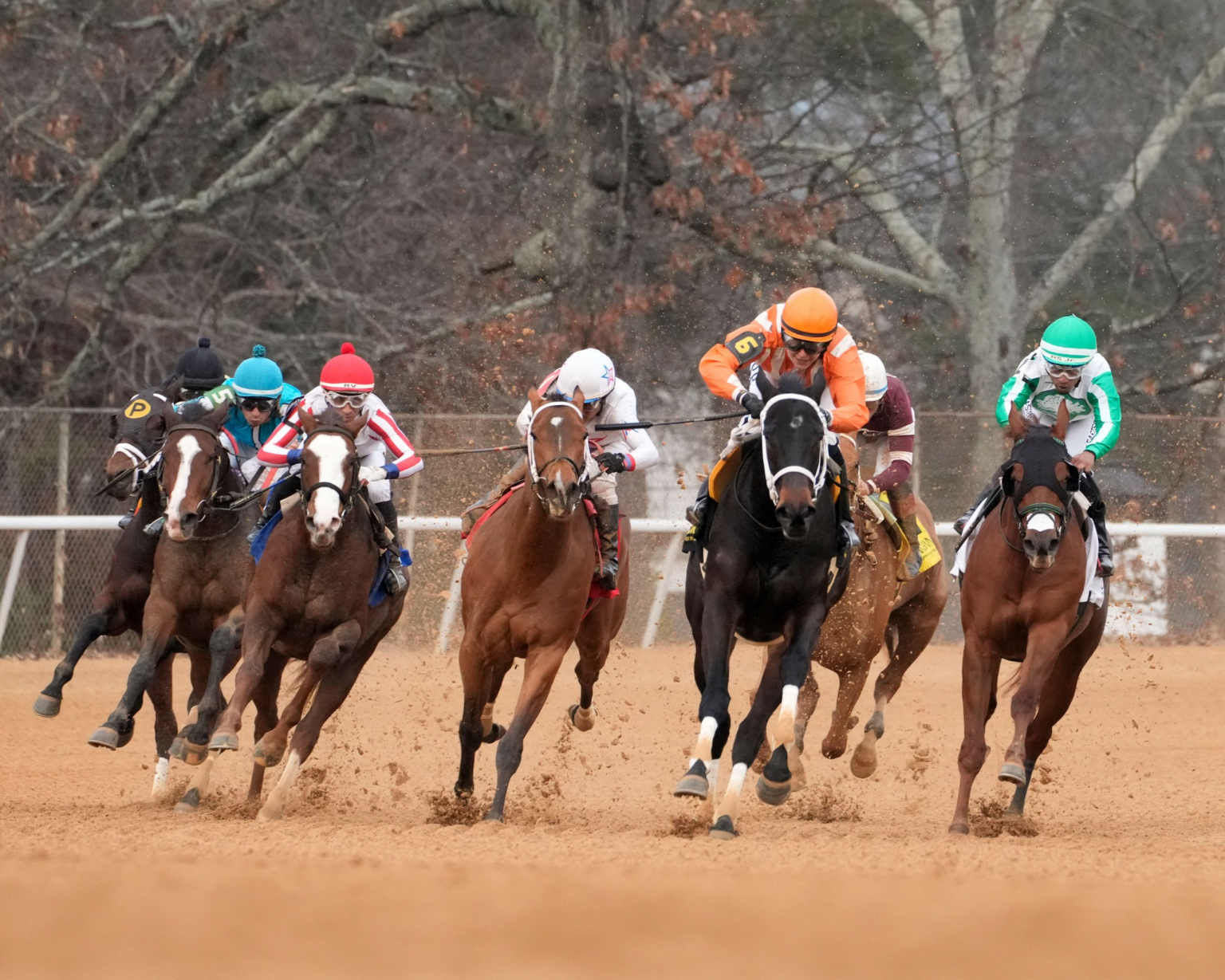 Live Racing Returns to Oaklawn with a Stacked Weekend of Stakes Races