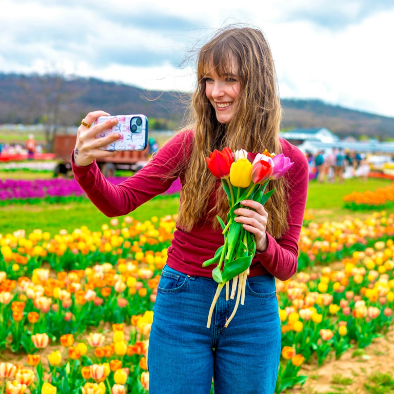 700,000 Tulips Are Blooming at Rivercrest Orchard This Spring
